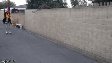 Rockin' Robin Roller Skating - Imgflip