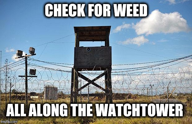 It's 5 o'clock somewhere. - Imgflip