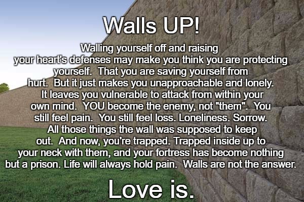 Walls Up! - Imgflip