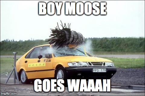 Image tagged in saab moose test - Imgflip