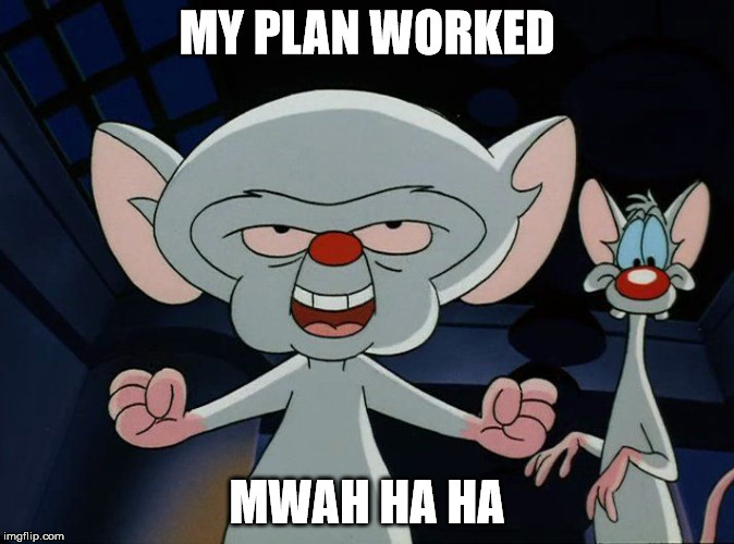 Grumpy cat vs Angry cat - Imgflip