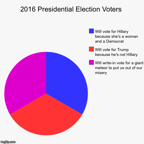 2016 Presidential Election Voters - Imgflip