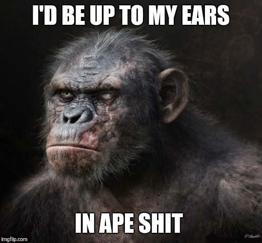 Post below! - Imgflip