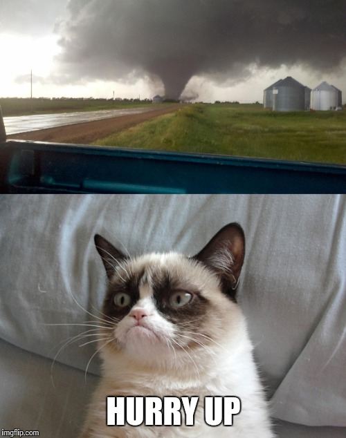 Grumpy Cat Meme - Imgflip