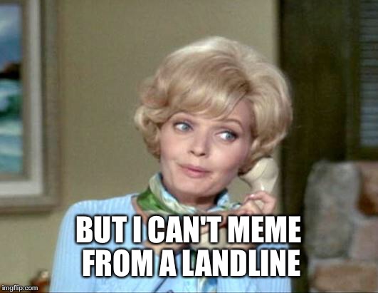 Come on, it's like my favorite meme yet. - Imgflip