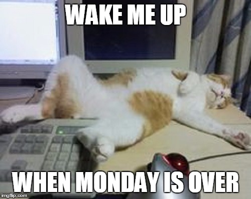 HAPPY MONDAY - Imgflip