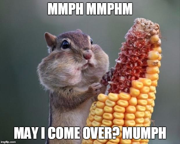 Timesheets - Imgflip