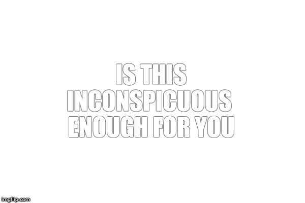 Confession Bear Meme - Imgflip