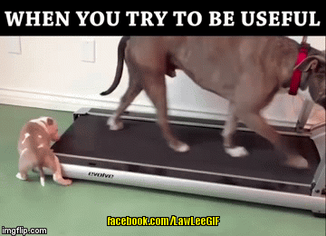 But oh well, every little bit helps! - Imgflip