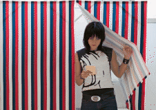 theo votes or the perilous pitfalls of this particular presidential ...