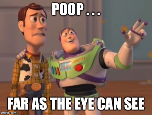 X, X Everywhere Meme - Imgflip