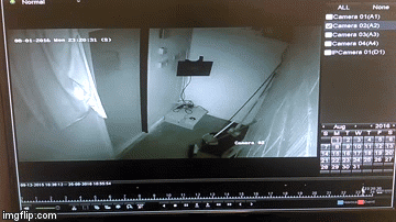 Animated GIF - Imgflip