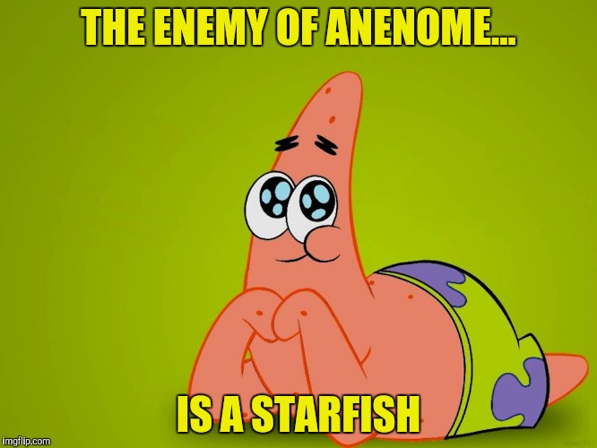 The sad thing about betrayal is that it never comes from your enemies ...