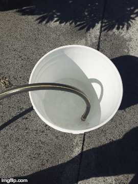 Animated GIF - Imgflip