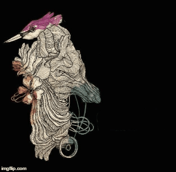 Animated GIF - Imgflip