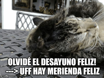 Olvidé el desayuno Feliz! ---> uff hay Merienda Feliz - Imgflip