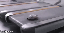 We Were Fooled For Years.... - Imgflip