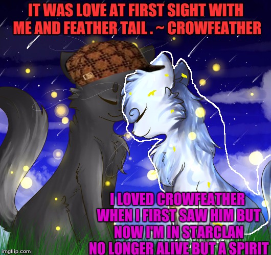 Image tagged in true love - Imgflip