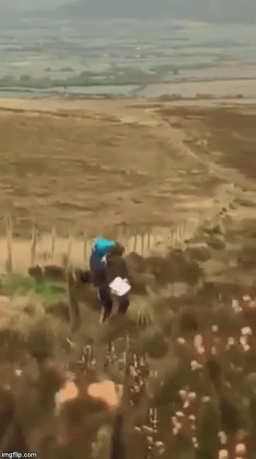 Ash falling - Imgflip