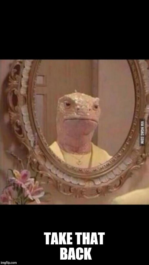 Image tagged in realization lizard - Imgflip