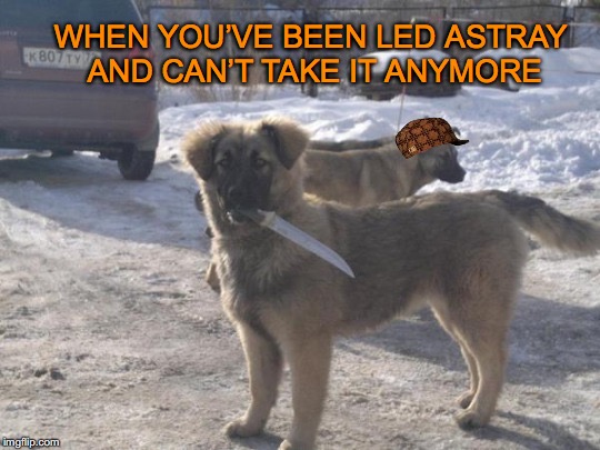 Dog's Lives Matter - Imgflip