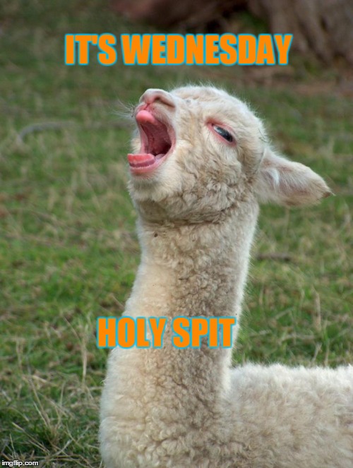 Ugh Face Meme Ugh GIF - Ugh Face Palm Dread - Discover & Share GIFs