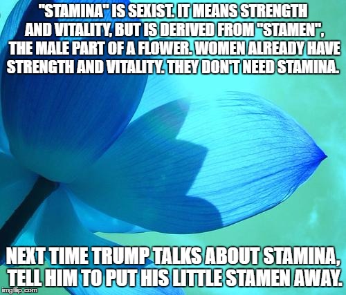 Hillary's stamina - Imgflip
