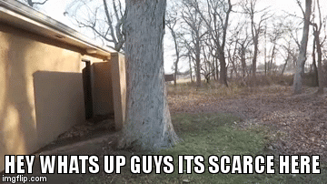 Scarce - Imgflip