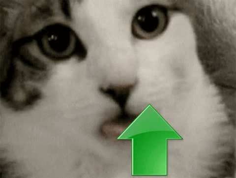 High resolution upvote cat - Imgflip
