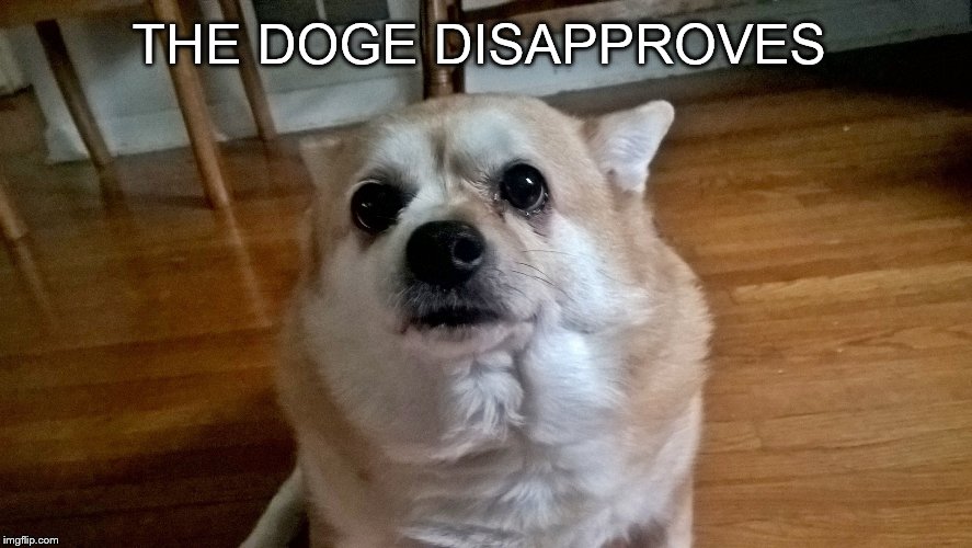 Image tagged in the doge disapproves - Imgflip