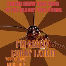 this is so cute! a roach is sorry it ate your food. - Imgflip