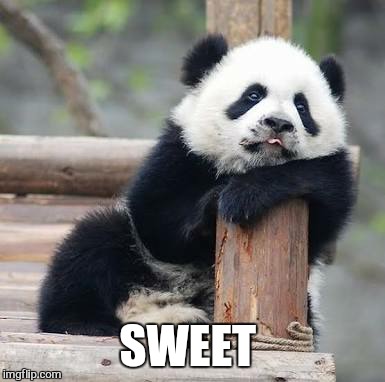 Witless protection - Imgflip