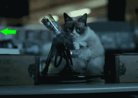 grumpy cat upvote machinegun - Imgflip