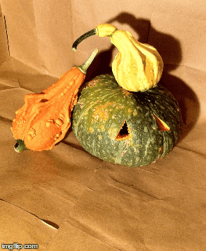 Kabocha Oops - Imgflip