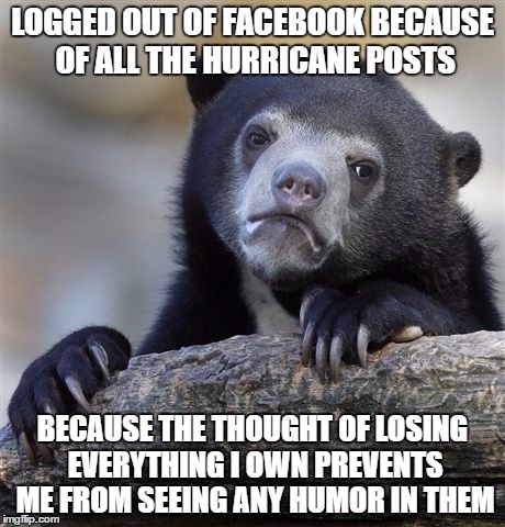 Confession Bear Meme - Imgflip