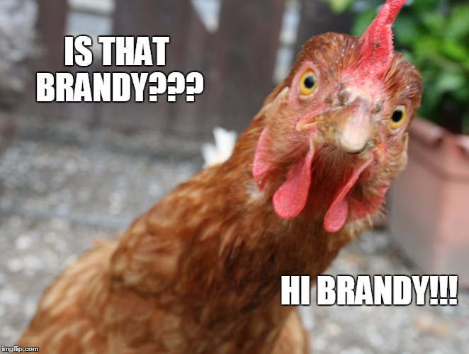 Another Facepalm moment from Facebook...they walk among us ! - Imgflip