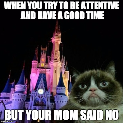 Grumpy Cat Disneyland castle - Imgflip