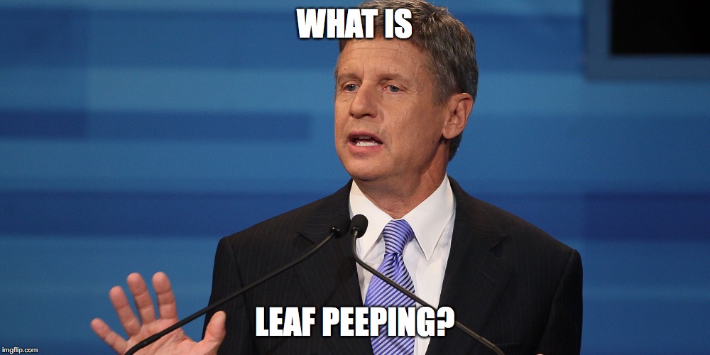 Gary Johnson - Imgflip