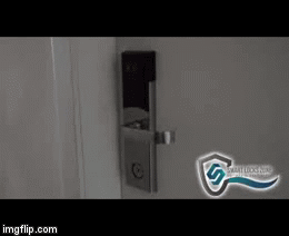 Animated GIF - Imgflip