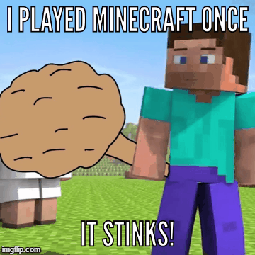 Minecraft Stinks - Imgflip