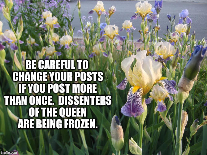 Image tagged in irises - Imgflip