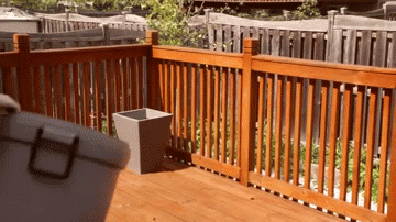 Animated GIF - Imgflip