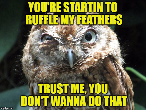 This sounds like a fun place to eat...I think? - Imgflip