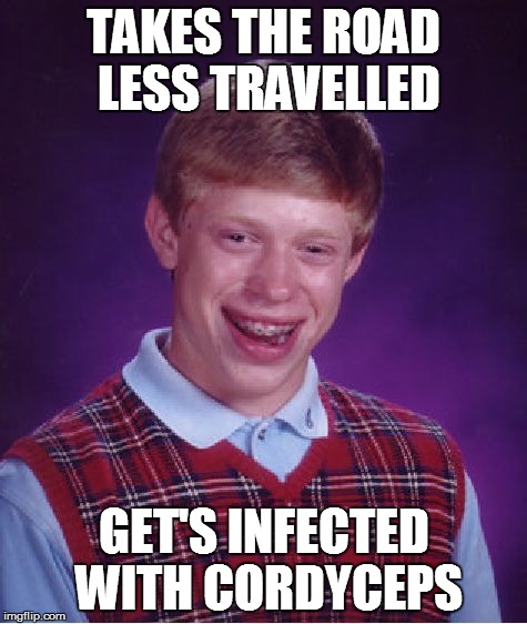 veryimportantadvice.jpeg - Imgflip