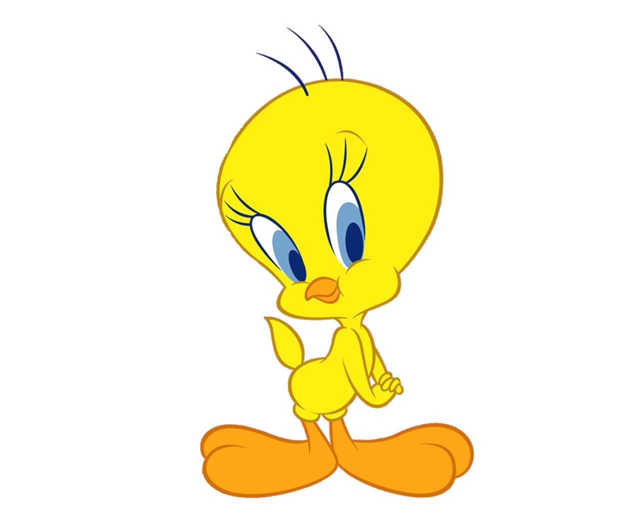 piolin Blank Template - Imgflip