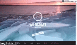 Animated GIF - Imgflip