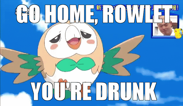Go Home, Rowlet. You're Drunk - Imgflip