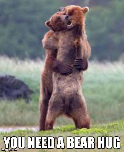 Awesome Bear Memes