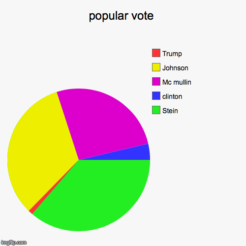 popular vote - Imgflip