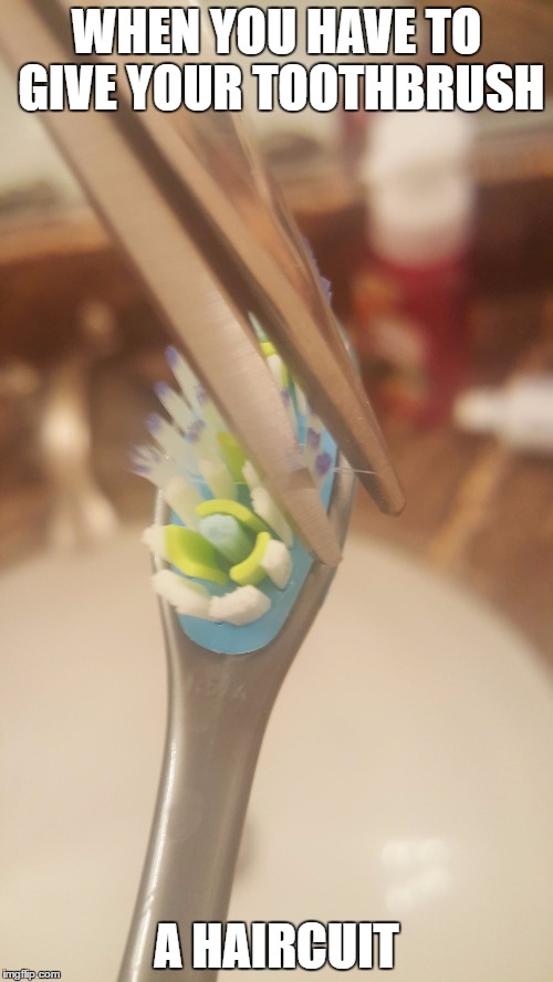 Image tagged in brush - Imgflip